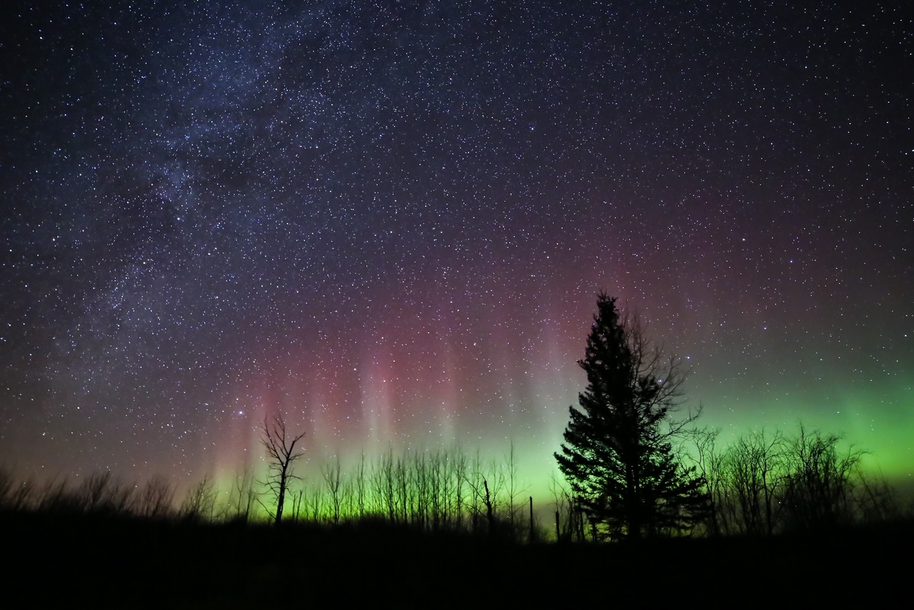 The Celestial Wonders of the Night Sky – Northern Escape Photography