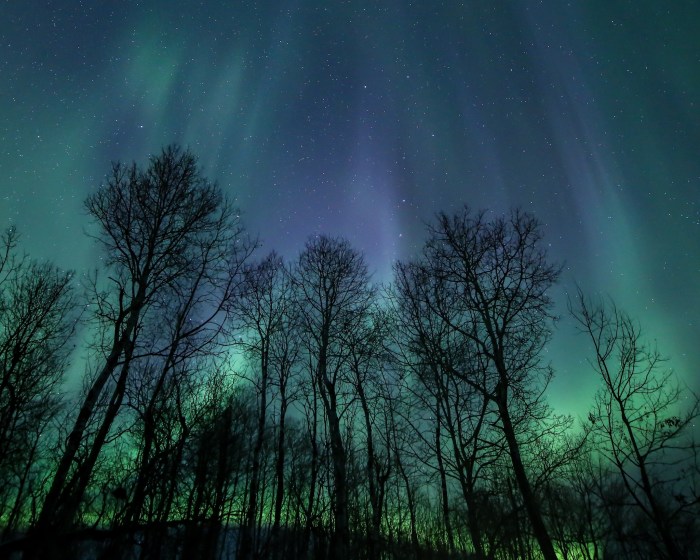 The Celestial Wonders of the Night Sky – Northern Escape Photography