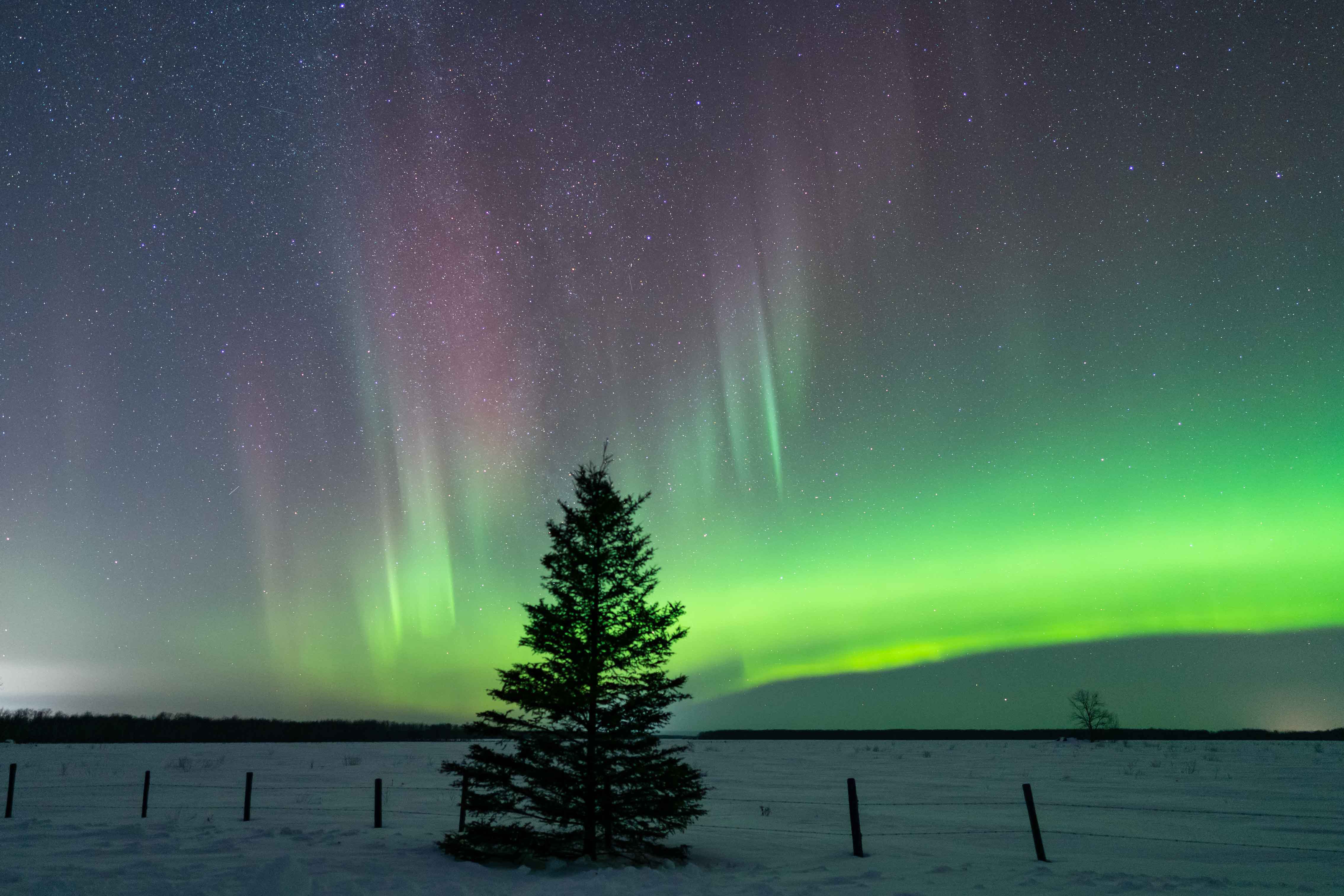 The Best Places to See the Northern Lights in Saskatchewan – Northern ...